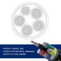 China VLV Aluminum PVC/PVC Power Cable 0.6/1kV for Cost-Effective LV Wiring for sale