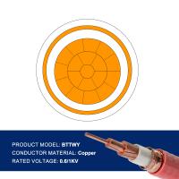 China BTTWY Mineral Insulated Power Cable OEM ODM OBM Mineral Insulated Copper Cable for sale