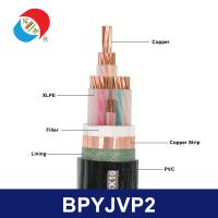 China BPYJVP2 Double Shielded Inverter Duty Cable Ultimate Protection for Sensitive Motor Drive Systems for sale