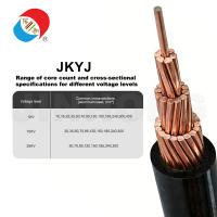 China Premium JKYJ Aerial Power Cable | High Purity Copper Core XLPE Overhead Line for Critical Grid Infrastructure for sale