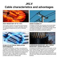 China 0.6/1kV 6/10kV JKLV Medium Voltage Cable | Aluminum Core PVC Insulated Overhead Power Line for sale