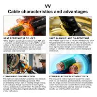 China VV 0.6/1kV PVC Insulated PVC Sheathed Copper Power Cable for Conventional Civil, Commerce & Small Industrial Distribution Engineering for sale