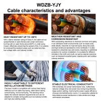 China WDZB-YJY Low Voltage 0.6/1kV LSZH Class B Flame Retardant Power Cable | Non-Armoured XLPE Building & Industrial Distribution Cable for sale