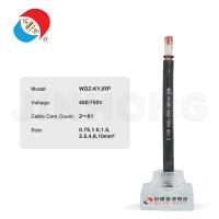 China XLPE Insulated Multicore Instrumentation Cable for Automation & DCS Control System 450/750V for sale