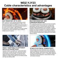 China Armoured XLPE Power Cable | Anti-Extrusion Direct Buried MV Cable for Municipal Grid & Industrial External Trunk Line for sale