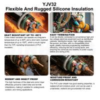 China Steel Wire Armoured XLPE Power Cable for Subsea, Mine & Heavy Mechanical Underground Laying for sale