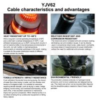 China Stainless Steel Wire Armoured XLPE Power Cable For Submarine, Deep Sea, Offshore Wind & Severe Salt Corrosion Engineering for sale
