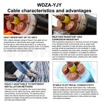 China WDZA-YJY Class A Low Smoke Zero Halogen XLPE Insulated LSZH Sheathed Power Cable for High-Rise, Metro & Public Fire-Critical Engineering for sale