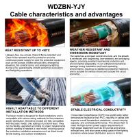 China WDZBN-YJY Class B Low Smoke Zero Halogen Fire Retardant XLPE Insulated LSZH Sheathed Power Cable for Mid-Rise Commercial, School & General Public Construction for sale