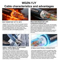 China WDZN-YJY Fire-Resistant Power Cable 0.6/1kV LSZH for Heavy Infrastructure & Critical Circuit Integrity for sale