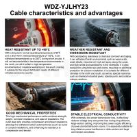 China WDZ-YJLHY23 LSZH Aluminum Alloy Steel Tape Armored Power Cable for Underground Direct Burial & Public Infrastructure for sale