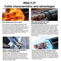 China WDZ-YJY Low Smoke Zero Halogen Flame Retardant XLPE Insulated Power Cable for Indoor Wiring, Public Buildings & Fire Safety Engineering for sale