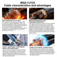 China 0.6/1kV WDZ-YJY23 Steel Tape Armored LSZH Flame Retardant Power Cable for Direct Burial, Tunnel & Underground Infrastructure Wiring for sale