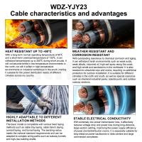 China 8.7/15kV WDZ-YJY23 Double Steel Tape Armored LSZH Medium Voltage Power Cable for Substation, Tunnel & Direct Burial Power Transmission for sale