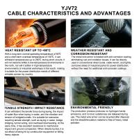 China YJV72 0.6/1kV Non-Magnetic AWA Armored Power Cable | Single-Core Anti-Circulating Current Vertical Laying Cable for sale