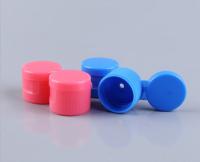 China Plastic Screw Cap for Liquid Bottle Shampoo Flip Top Cap for sale