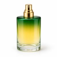 China Free Sample Gradient Glass Bottle Diffuser Bottle with Stick for Aromatic Perfume Bottle for sale