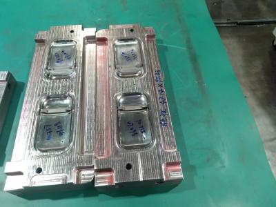 China IP66 Plastic Injection Mold Tooling M-1 with Textured Surface for OEM/ODM Manufacturing Applications for sale