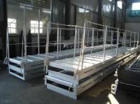 China Anti-corrosive Surface Oxidated Marine Draft Ladder and Boat Boarding Ladder in Low Carbon Steel or Stainless Steel for sale