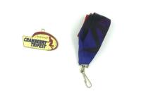 China Custom Soft Enamel Zinc Alloy 2D Plated Sports Medals with Ribbon for Events for sale