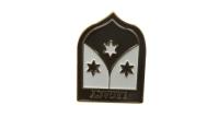 China Custom Shape Enamel Lapel Pins with Polish Backside Die Casting 0.5-3.0mm for sale
