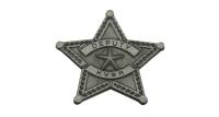 China Custom Shape Enamel Lapel Pins with Polish Backside Die Casting 0.5-3.0mm for sale