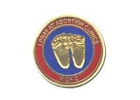 China Custom Enamel Lapel Pins 2.5x2.3cm Brass Badges with Painted Logo for Kids Jackets for sale