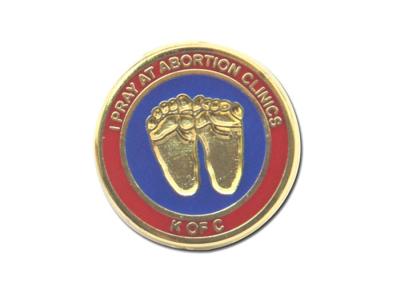 China Custom Enamel Lapel Pins 2.5x2.3cm Brass Badges with Painted Logo for Kids Jackets for sale