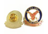 China Custom Enamel Lapel Pins 2.5x2.3cm Brass Badges with Painted Logo for Kids Jackets for sale