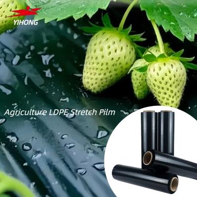 China Custom Mulching Film Agricultural Plastic Black Silver Ground Cover Polyethylene Sheet Film Soft Moisture Proof Farm Crops Grow for sale