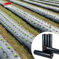 China Custom Mulching Film Agricultural Plastic Black Silver Ground Cover Polyethylene Sheet Film Soft Moisture Proof Farm Crops Grow for sale