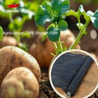 China YIHONG Suppliers Hot Selling Products Farm Greenhouse Used Agriculture Film With UV Covering Vegetable and Flower Farming for sale