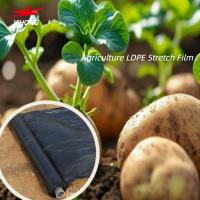 China YIHONG Biodegradable Agricultural Silver Black Mulch Film Black Mulching Film Pe Plastic Film for sale