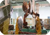 China Industrial Assembly Line Robots For Inner Heads Placing Customized Color for sale