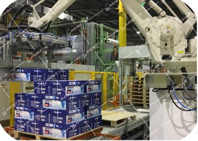 China Chaint Palletizing Robot Arm Intelligent System With Wooden Box Package for sale