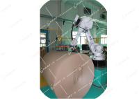 China Chaint Assembly Line Robots Manipulator Customized For Labeling / Cutting for sale