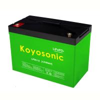 China 12 Volt 100ah Lithium Battery Solar Storage Lithium Iron Phosphate Batteries for sale