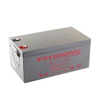 China 12V 260AH Solar Battery Storage System Deep Cycle Carbon Lead Acid Battery for sale
