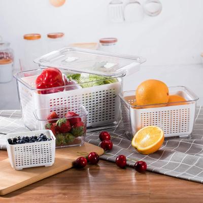 China Fresh Vegetable Fruit Storage Containers Produce Saver Fridge Food Storage Containers Keep Vegetables Fresh for sale