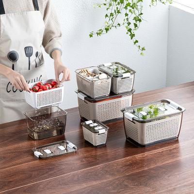 China Fresh Vegetable Fruit Storage Containers Produce Saver Fridge Food Storage Containers Keep Vegetables Fresh for sale