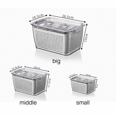 China Fresh Vegetable Fruit Storage Containers Produce Saver Fridge Food Storage Containers Keep Vegetables Fresh for sale