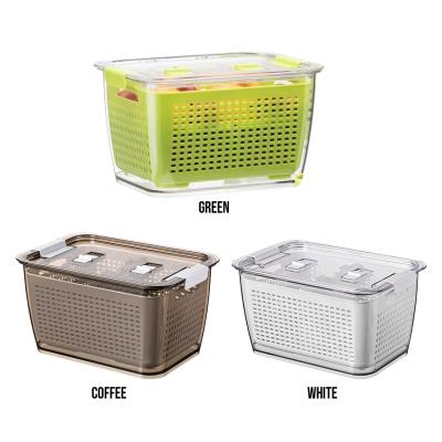 China Fresh Vegetable Fruit Storage Containers Produce Saver Fridge Food Storage Containers Keep Vegetables Fresh for sale