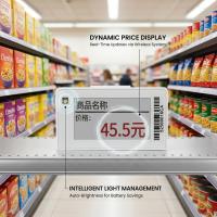 China Supermarket Shelf Label E Ink Nameplate Smart Store Price Tag 250x122 2.13 Inch for sale