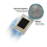 China Auto Correction Capacitive Fingerprint Sensor Price 508dpi E-Passport Voter ID Enrollment for sale