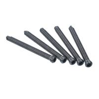 China Large Fragment Set Orthopedic Instruments Locking Plate System for sale