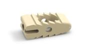 China PEEK Spinal Lumbar Interbody Fusion Cage Orthopedic Implant for sale