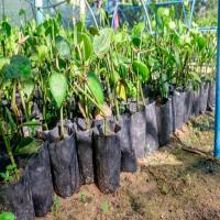 China Plastic Seedling Planting Bags With Holes Emergency Clinics Apparatuses for sale