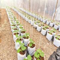 China Plastic Seedling Planting Bags With Holes Emergency Clinics Apparatuses for sale