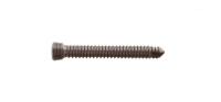 China Orthopedic Implant Locking Screw Surgical Titanium Bone Screw for sale