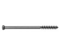 China Titanium Cancellous Bone Screws for sale